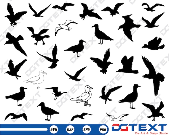 Sea Gull SVG Sea Bird SVG Vector Silhouette Cricut File - Etsy