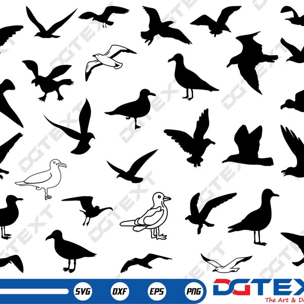 Seagull Bird Dxf - Etsy