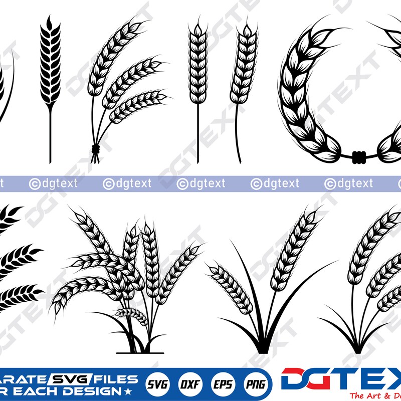 Wheat Svg - Etsy