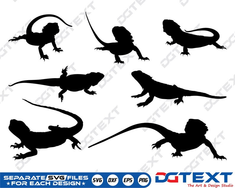Bearded Dragon SVG Bearded Dragon Vector Silhouette Cricut | Etsy