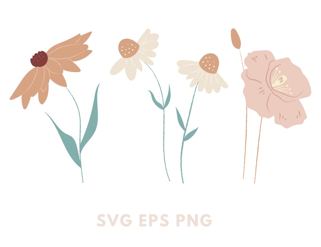 Floral SVG Cut Files: Flower Illustrations for Cricut (digital Download ...