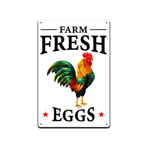 Chicken Signs for Home Wall Decor These Are Perfect Signs - Etsy