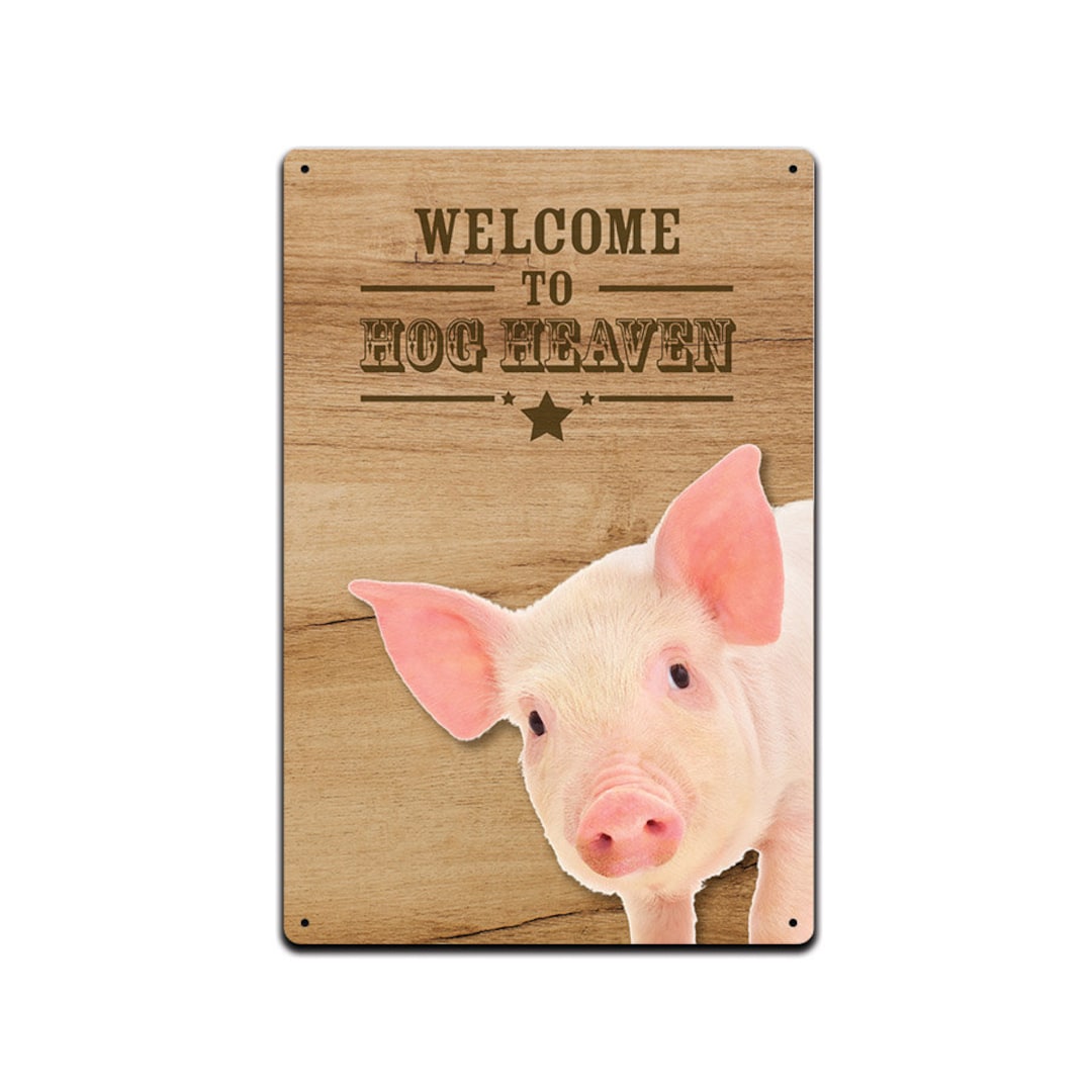 Pig Signs for Home Wall Decor - These Are Perfect Signs for Farmhouse ...