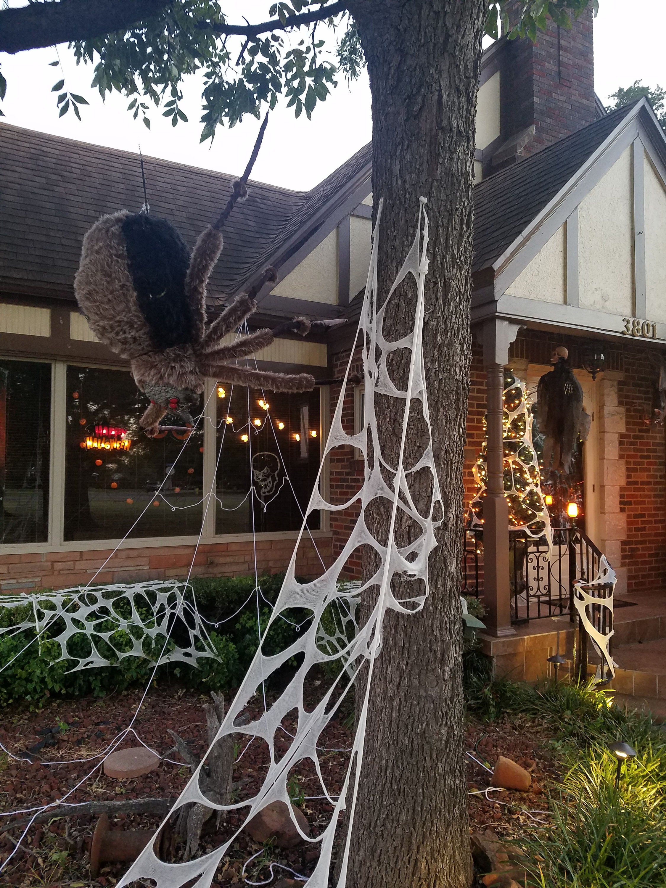 Halloween Decor Spider Web Outdoor Indoor Reusable | Etsy