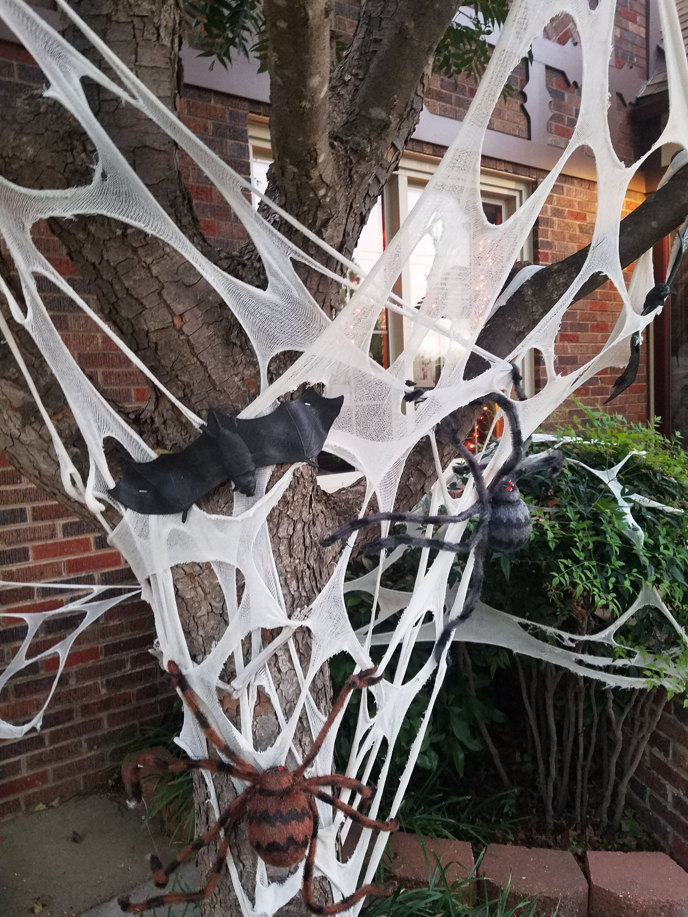 Halloween Decor Spider Web Outdoor Indoor Reusable | Etsy