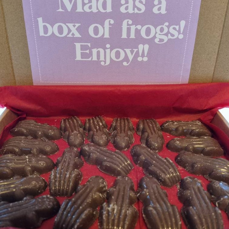 Chocolate Frog Box - Etsy