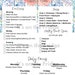 Printable Ultimate Organization Bundle, Meal Planning, Cleaning Routine ...