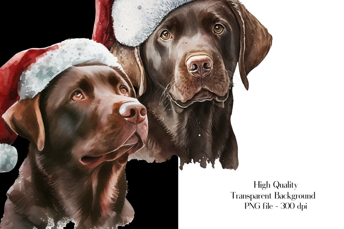 Chocolate Lab Png, Watercolor Christmas Dogs Png, Dog Sublimation ...