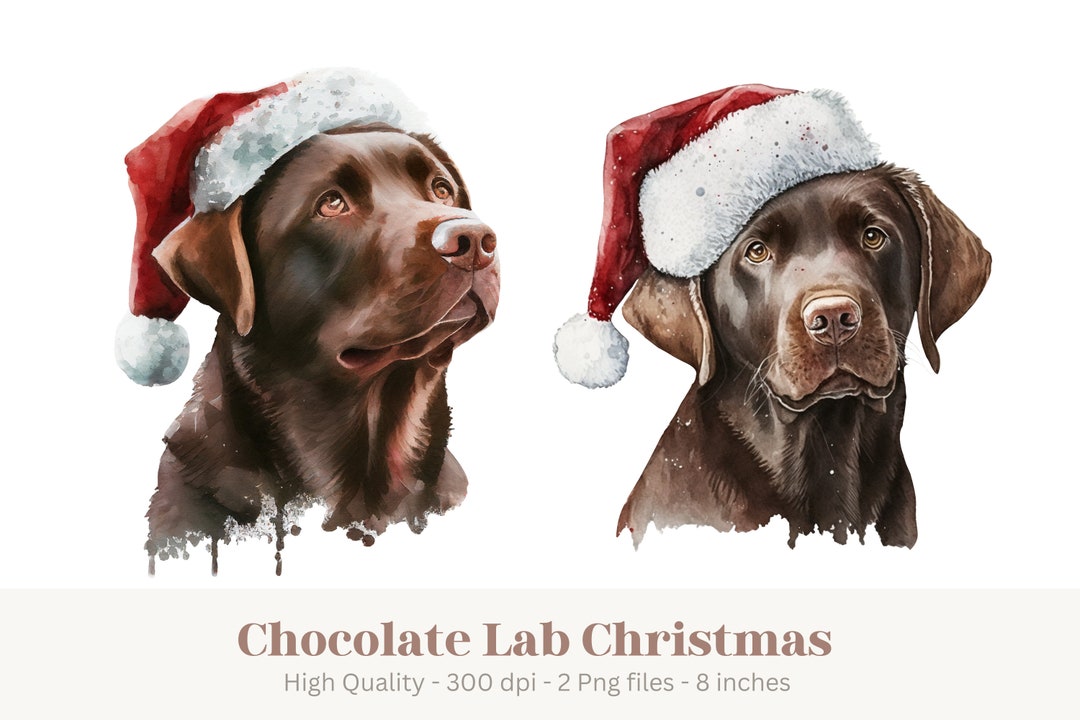 Chocolate Lab Png, Watercolor Christmas Dogs Png, Dog Sublimation ...