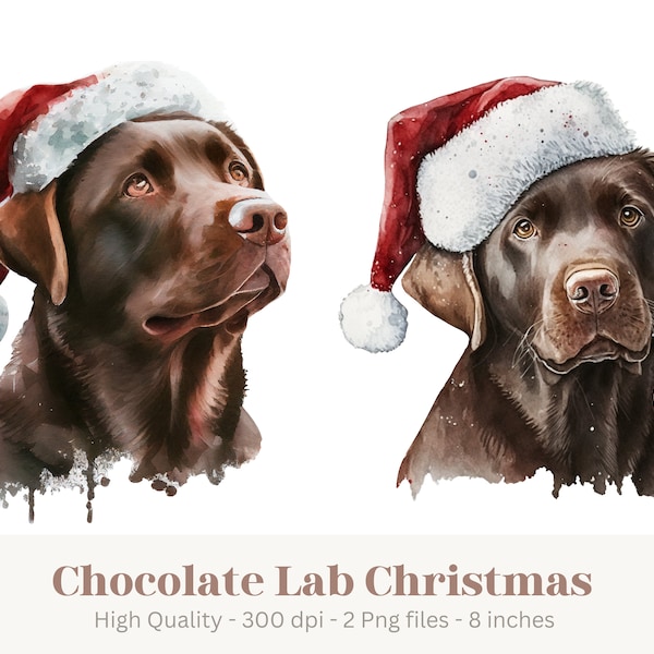 Chocolate Lab - Etsy