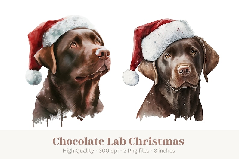 Chocolate Lab Png, Watercolor Christmas Dogs Png, Dog Sublimation ...