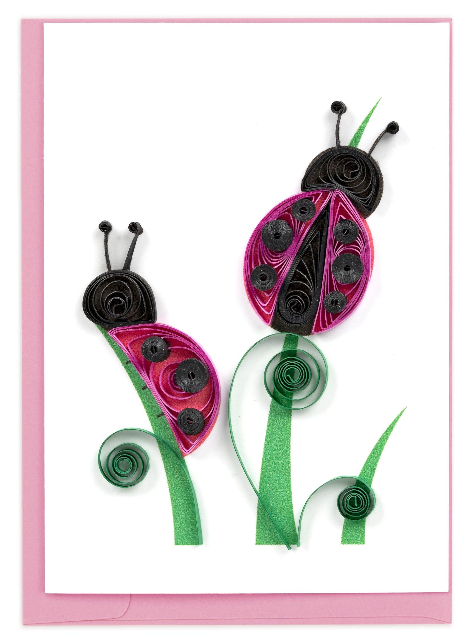 Create-a-quill DIY Quilling Kit: Insects, DIY Craft Kit for Anyone ...