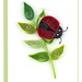 Quilled Ladybug Gift Enclosure Mini Card - Etsy