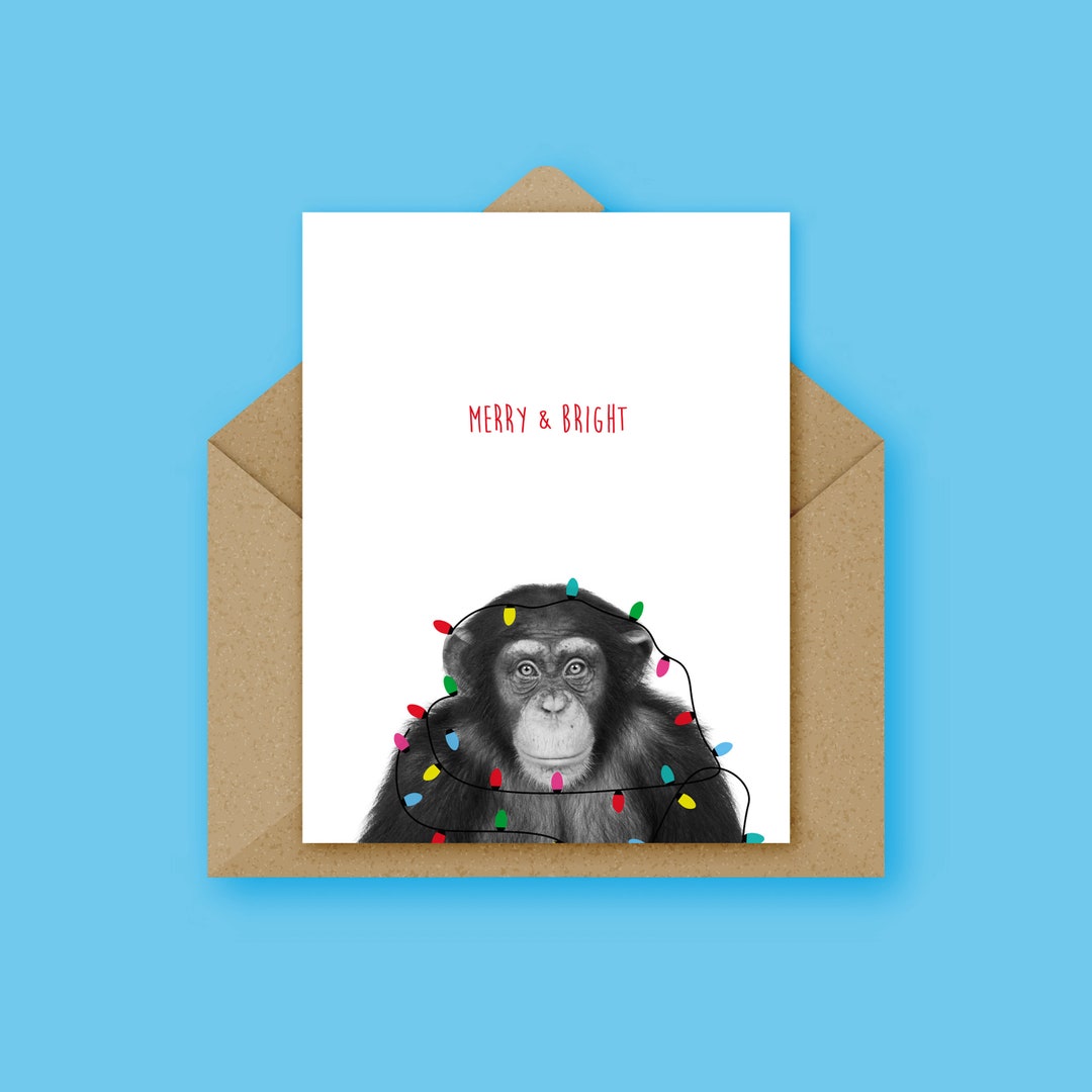 Chimp Christmas Card, Chimp in Christmas Lights, Christmas Card ...