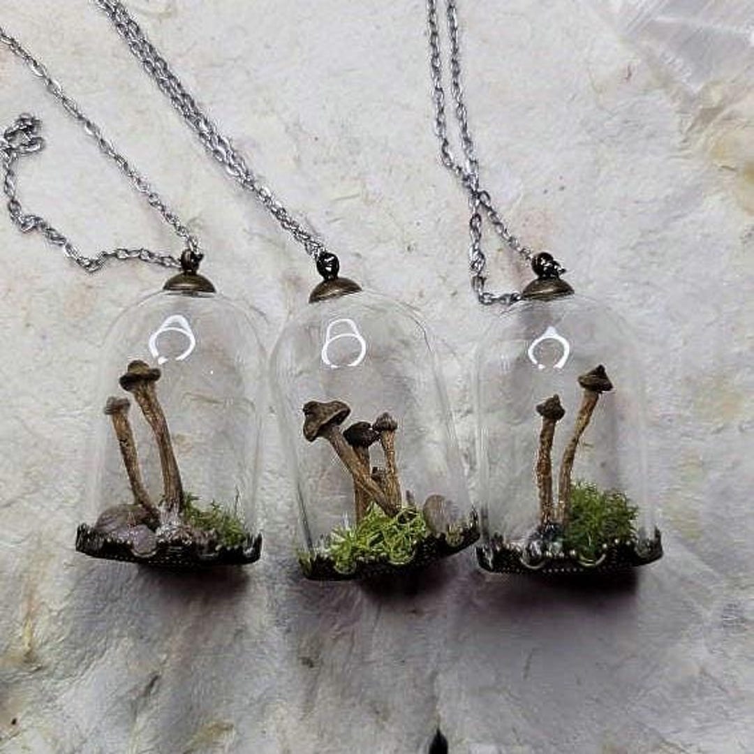 Mushroom Terrarium Necklace - Etsy