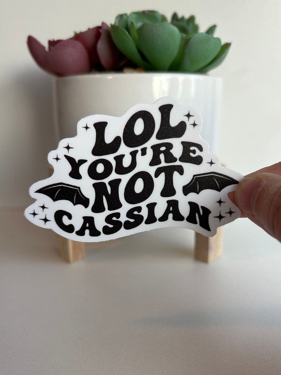 Lol Youre Not Cass Stickervinyl Stickerwater Bottle Stickertrendy ...