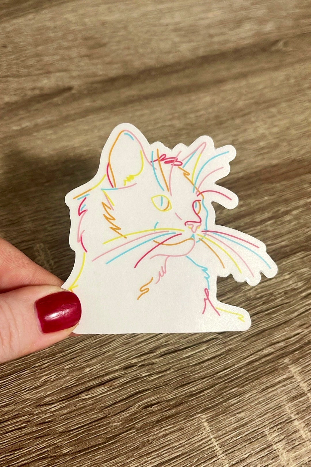 Cat Sticker, Colourful Cat Sticker, Cat Lover Sticker, Cat Lover Gift ...