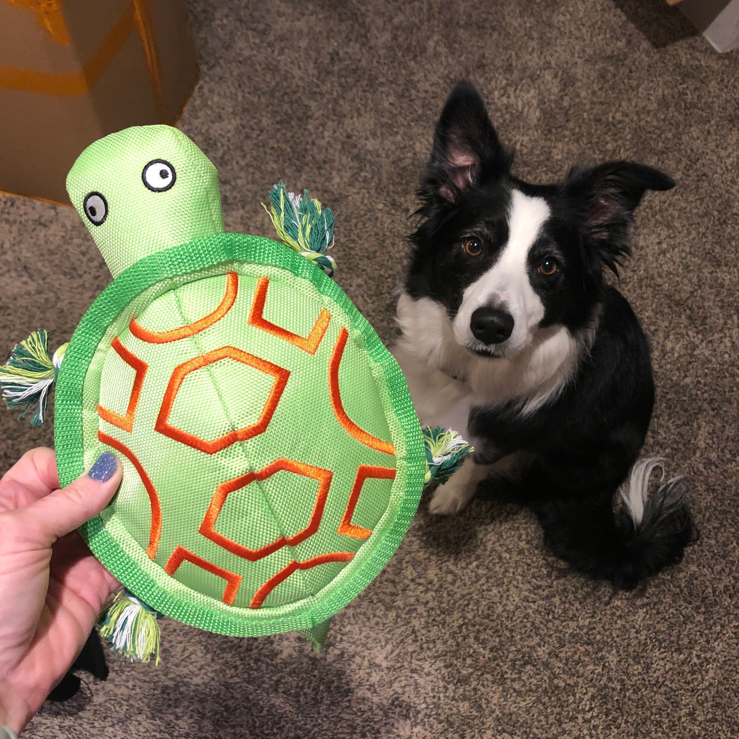 Turtle Tug Dog Toy - Etsy