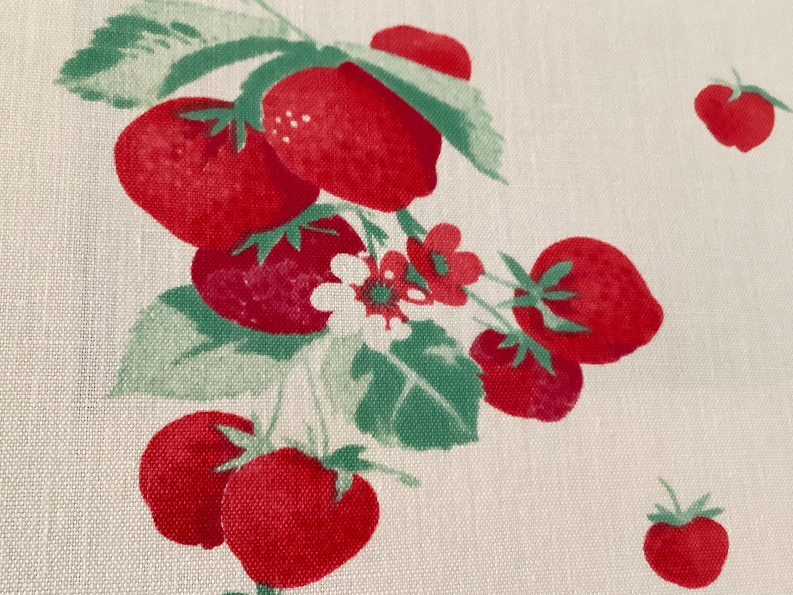 Sweet Juicy Strawberries Tablecloth Rosy Red Berries White Blossoms ...