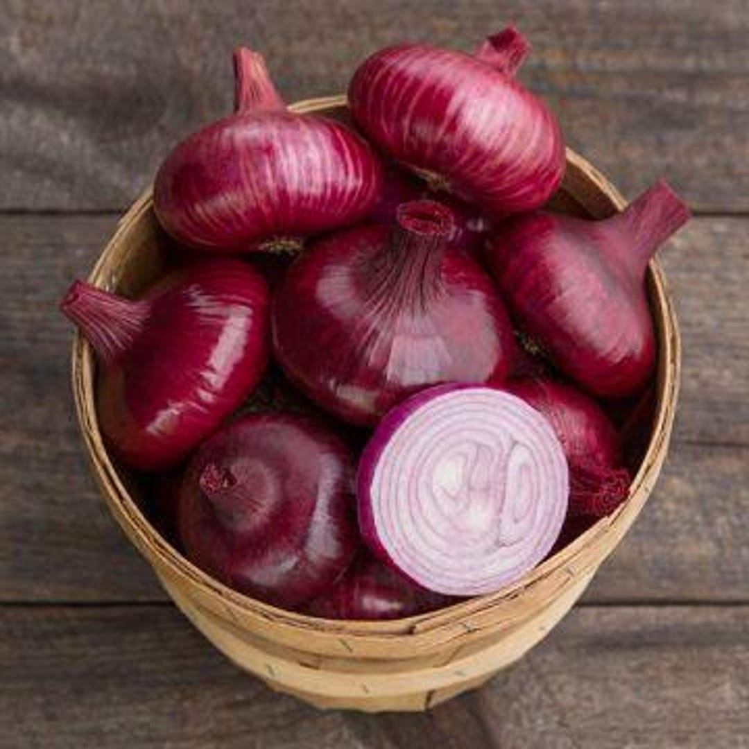 Allium Cepa Hybrid Red Onion Seeds - Organic, Usa-grown, High ...