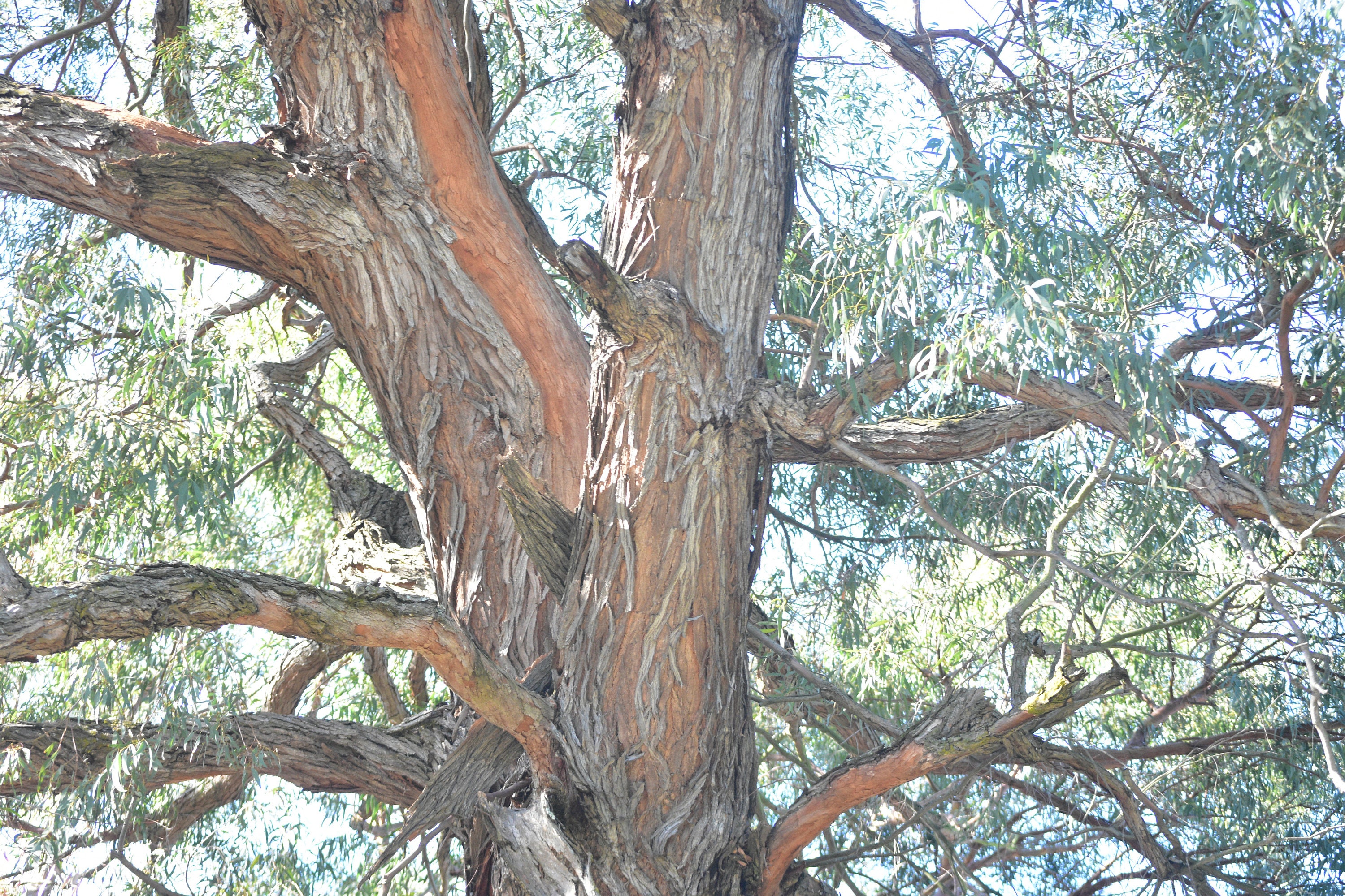 Seed Store — Growing hope