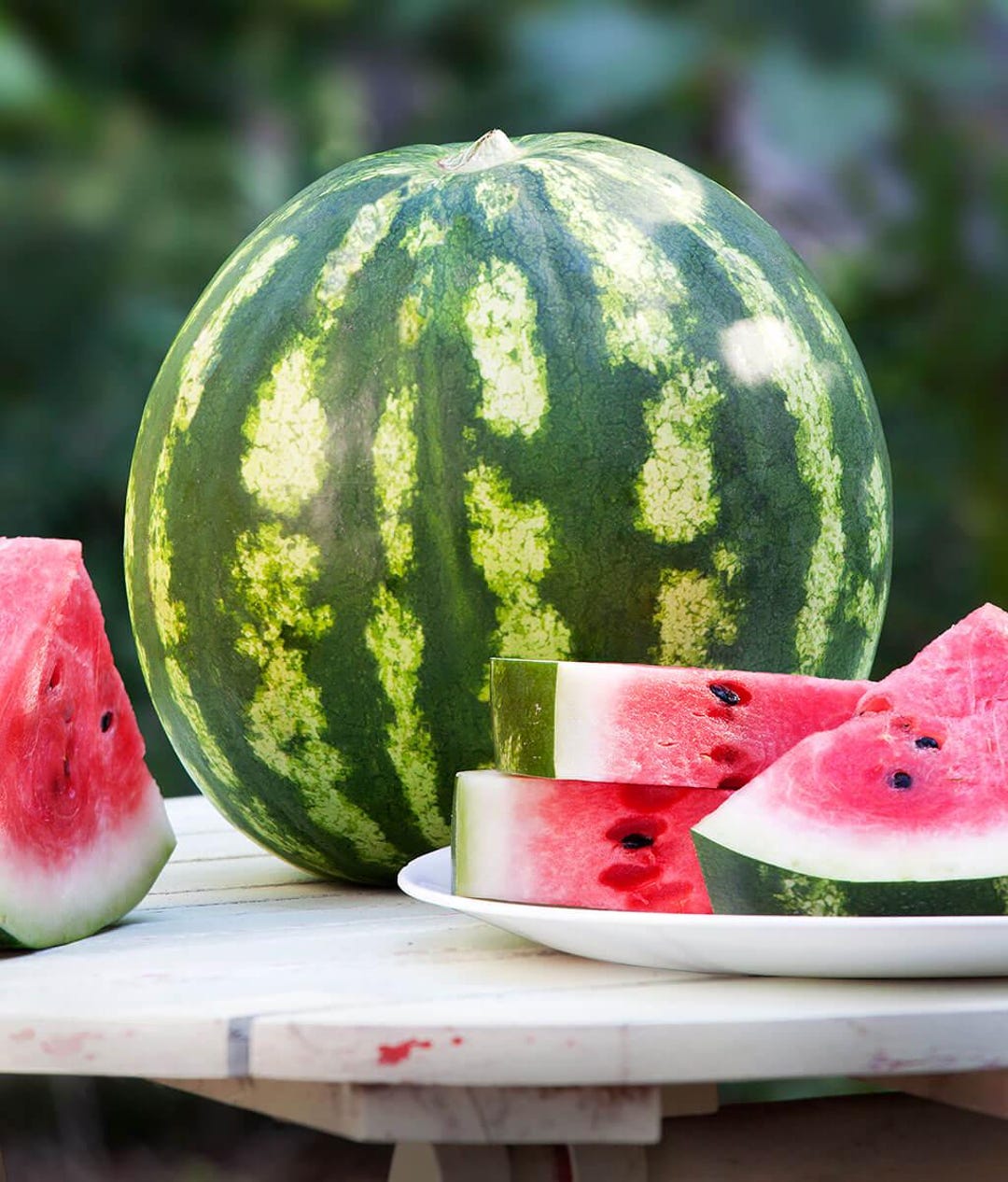 Citrullus Lanatus Diploid Watermelon Seeds - Organic, Usa-grown, High ...
