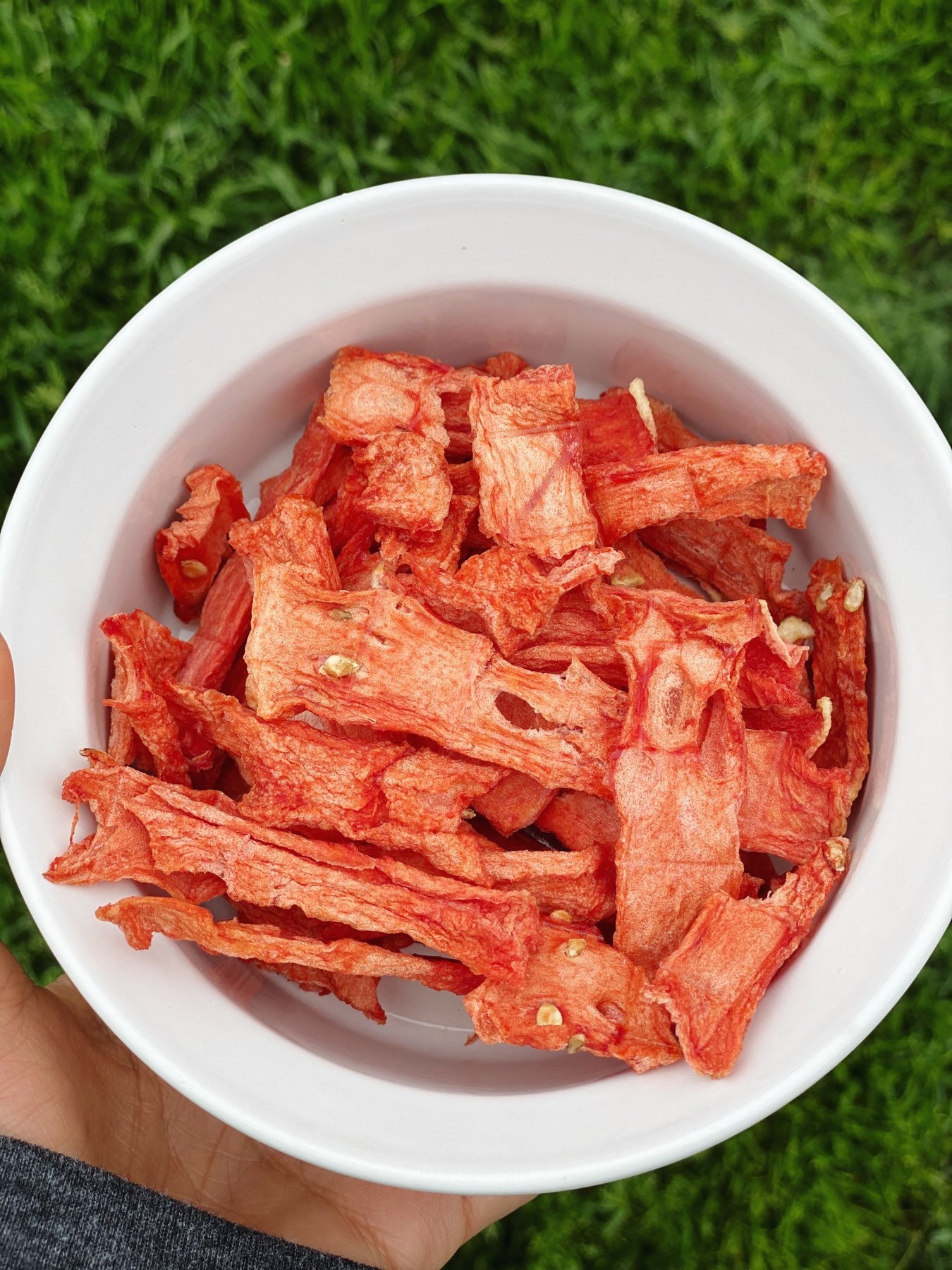 Watermelon Chips | Etsy