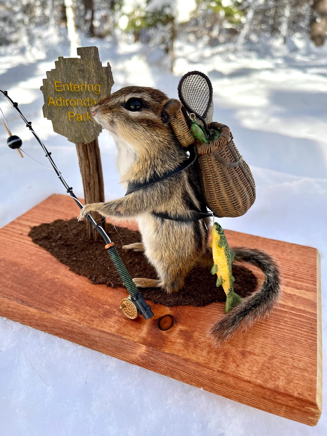 Taxidermy Adirondack Fly Fishing Chipmunk Mount Squirrel Taxidermy ...