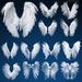 Angel Stamps for Procreate - Easy Realistic Wings - Etsy