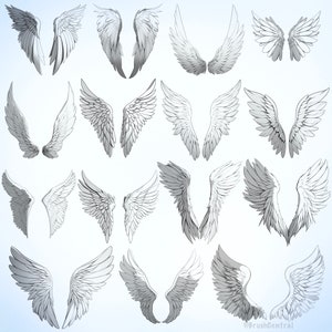Wing Stamps for Procreate - Easy Anime Wings - Etsy