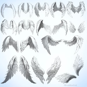 Wing Stamps for Procreate - Easy Anime Wings - Etsy
