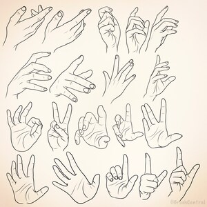 Hands - Stamps for Procreate - Hand References - Etsy