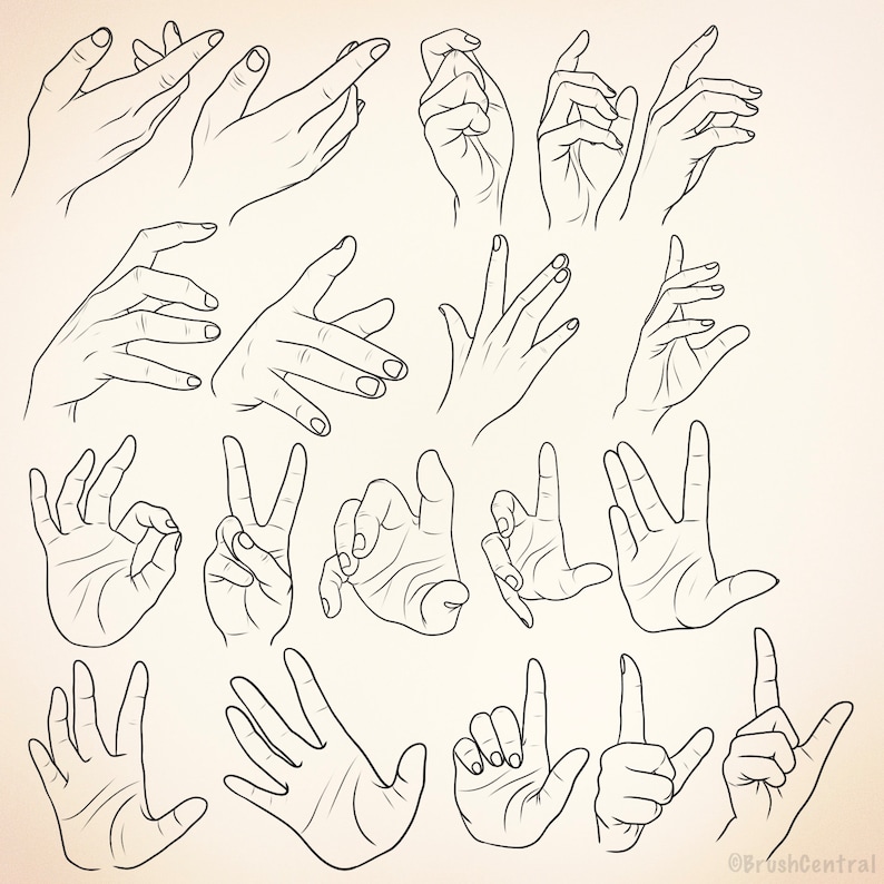 Hands Stamps for Procreate Hand References - Etsy