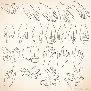 Hands - Stamps for Procreate - Hand References - Etsy