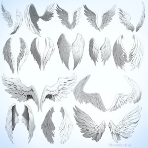 Wing Stamps for Procreate - Easy Anime Wings - Etsy
