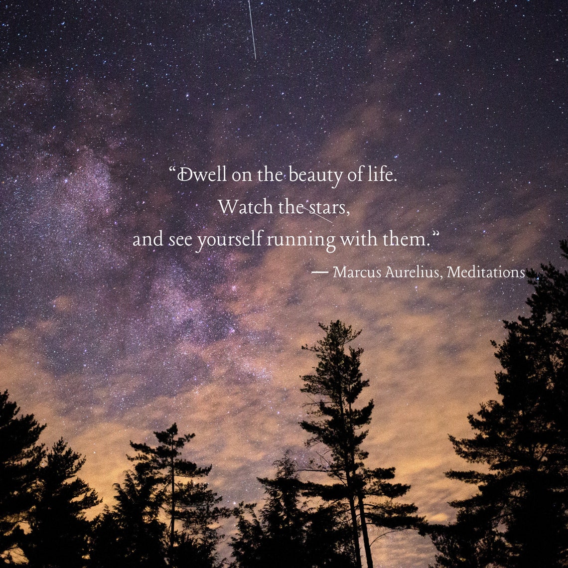 Dwell on the Beauty of Life Poster. Stoicism. Marcus Auraelius ...