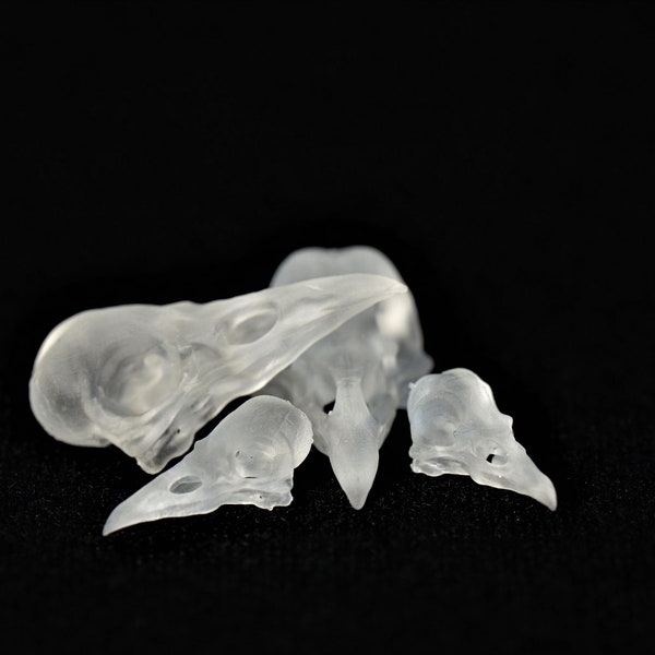 Resin Inclusions - Etsy Australia