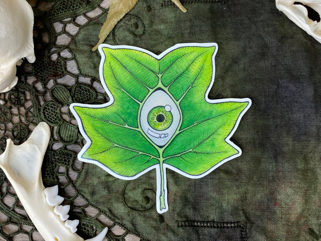 Woodland Wards: Tulip Poplar - Vinyl Sticker - Etsy