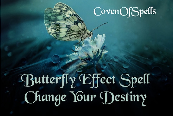 Butterfly Effect Spell Change Your Destiny Forever in 1 Year | Etsy