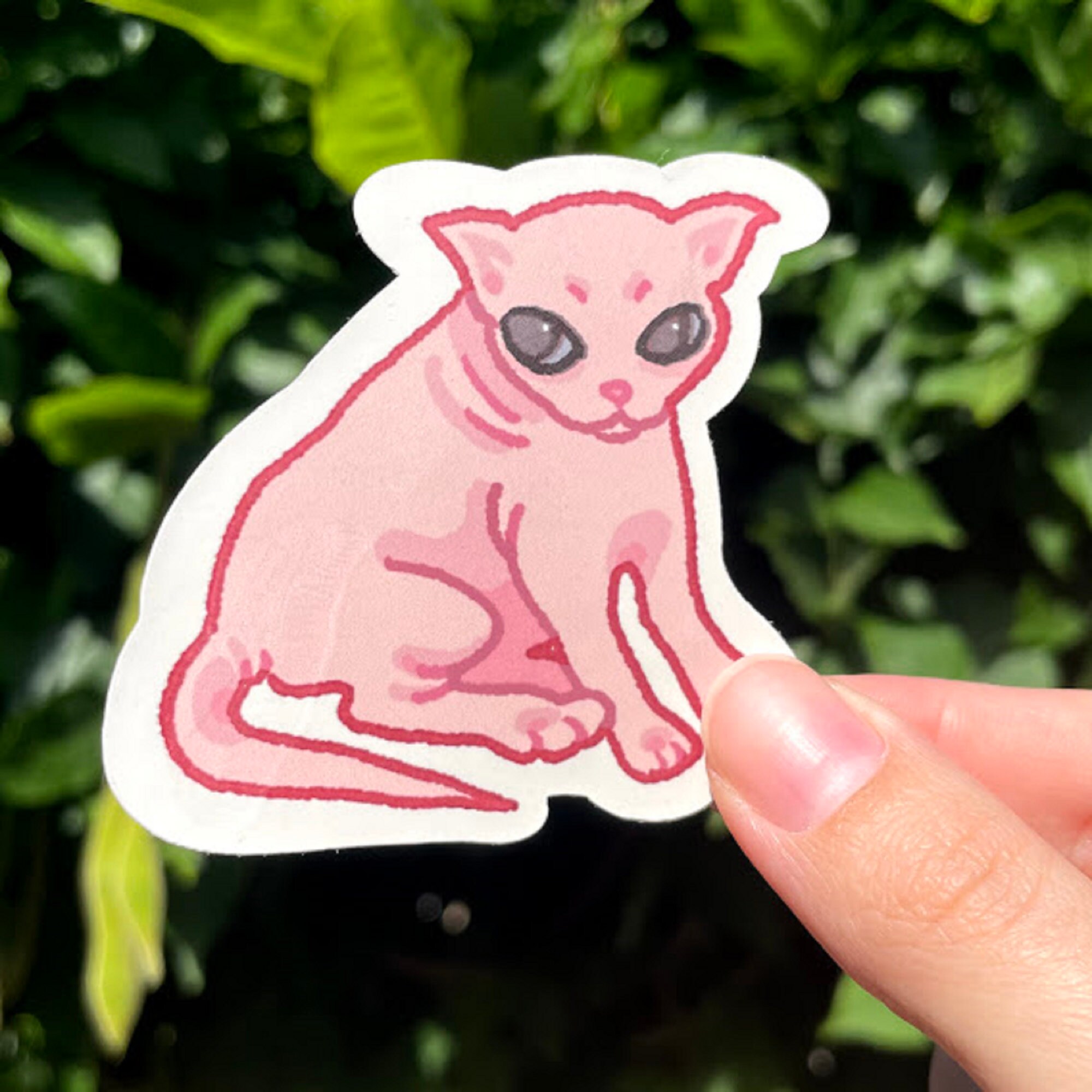 Cheems Bingus & Floppa Matte Water Resistant Stickers - Etsy Israel