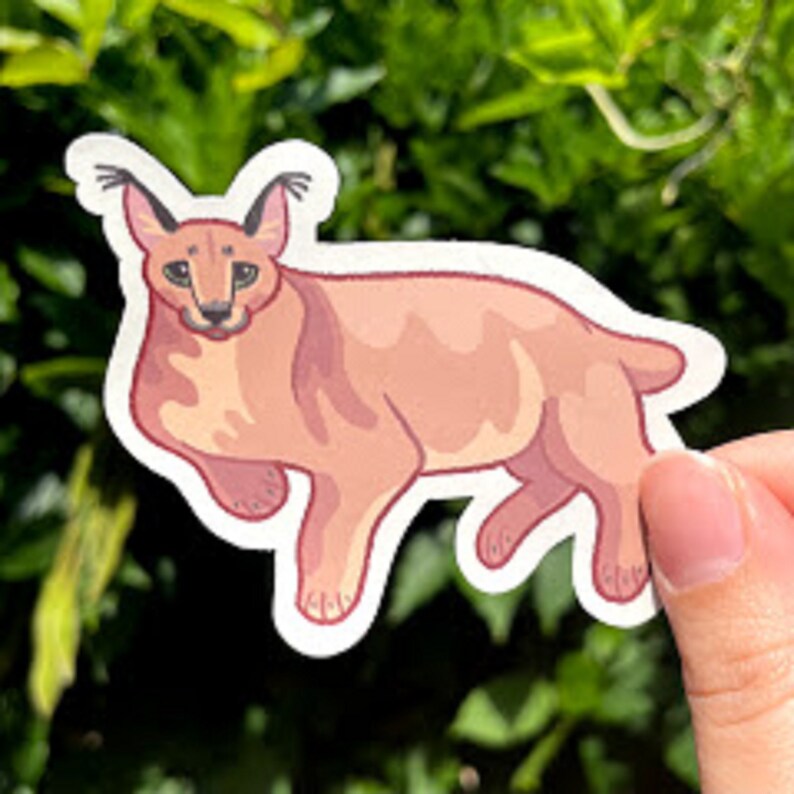 Cheems Bingus & Floppa Matte Water Resistant Stickers - Etsy Israel