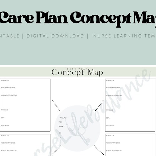 Nurse Care Plan Concept Map | Etsy