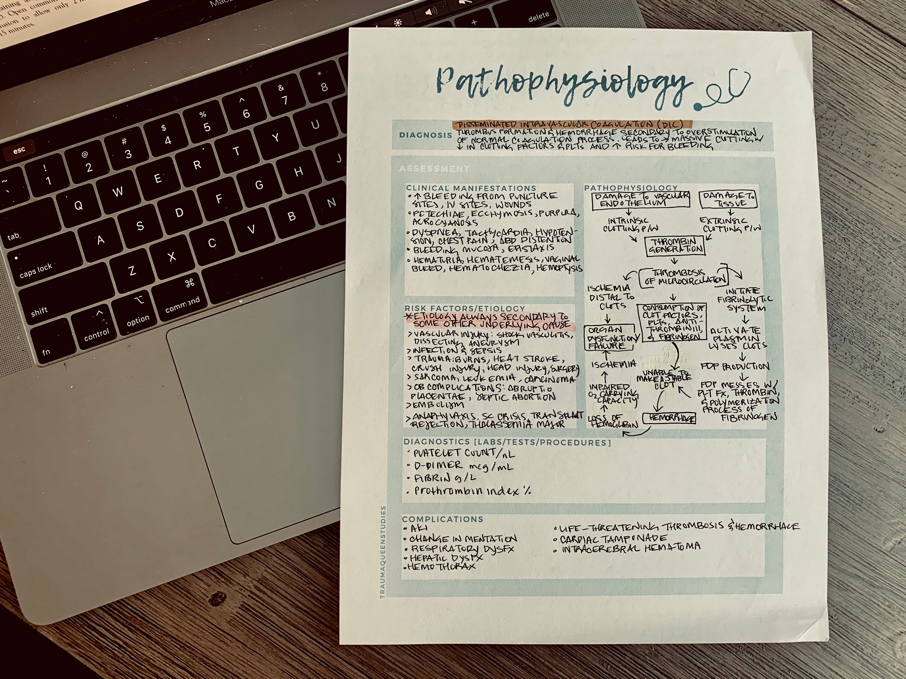 PATHOPHYSIOLOGY Study Guide Printable | Etsy