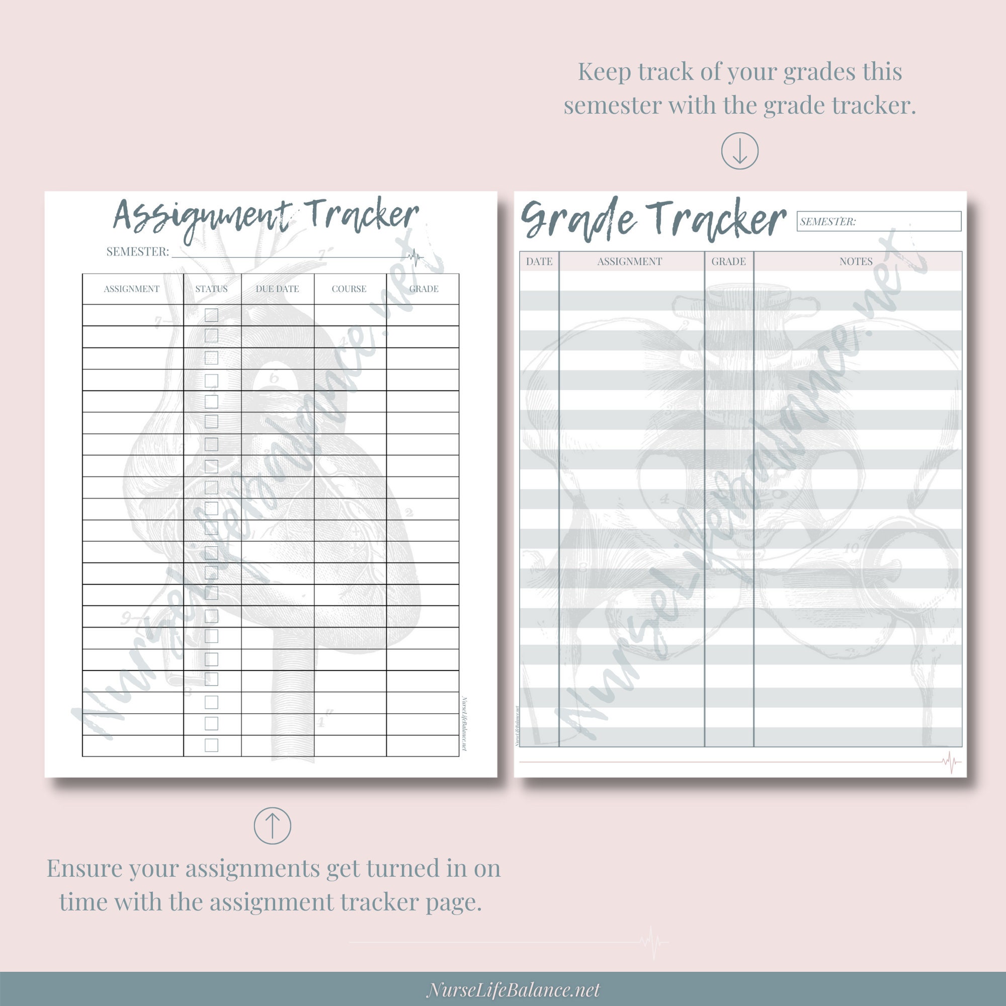 Ultimate Nursing Student Planner Bundle - Etsy