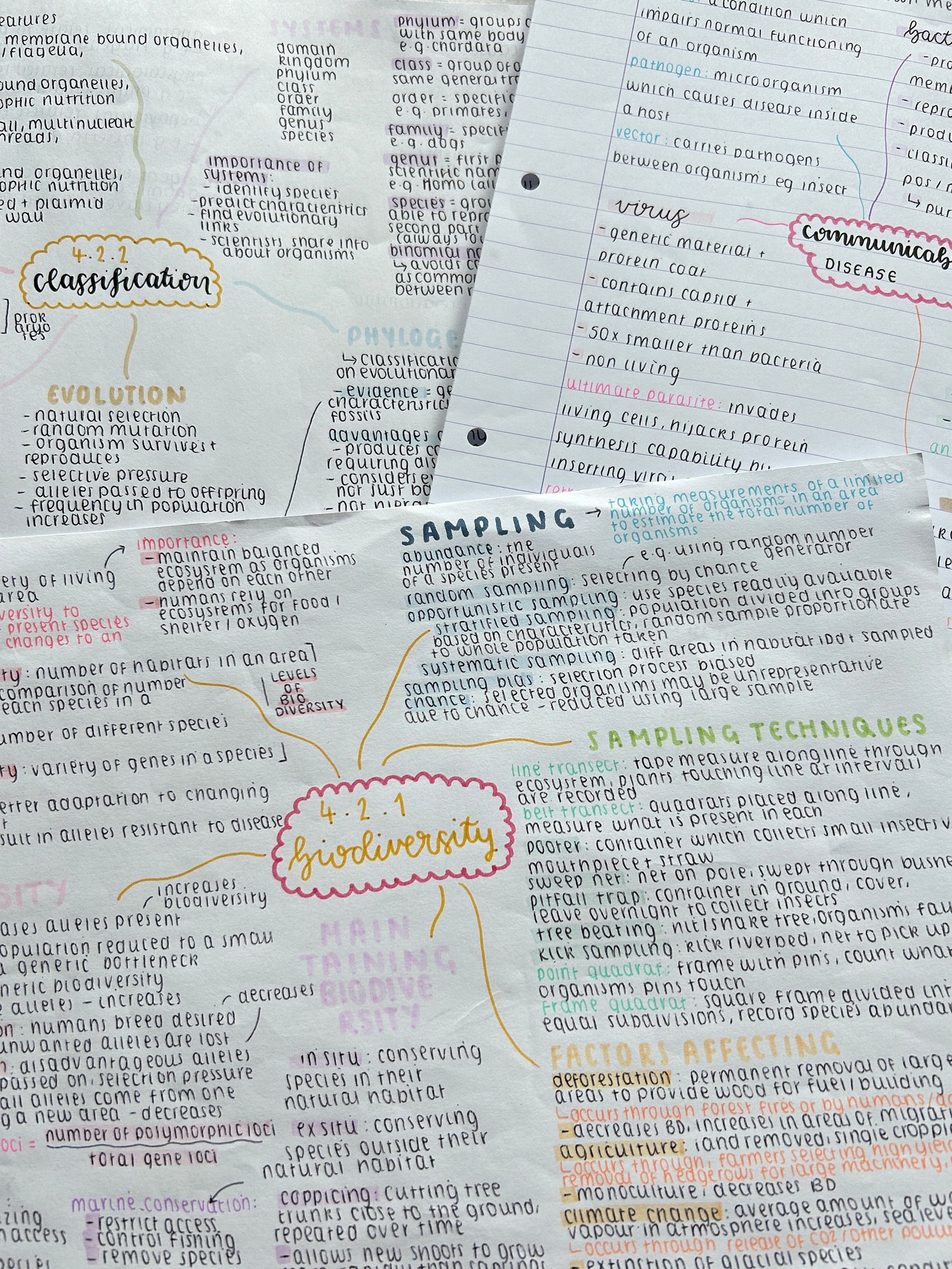 OCR A Level Biology: Module 4 Notes - Etsy