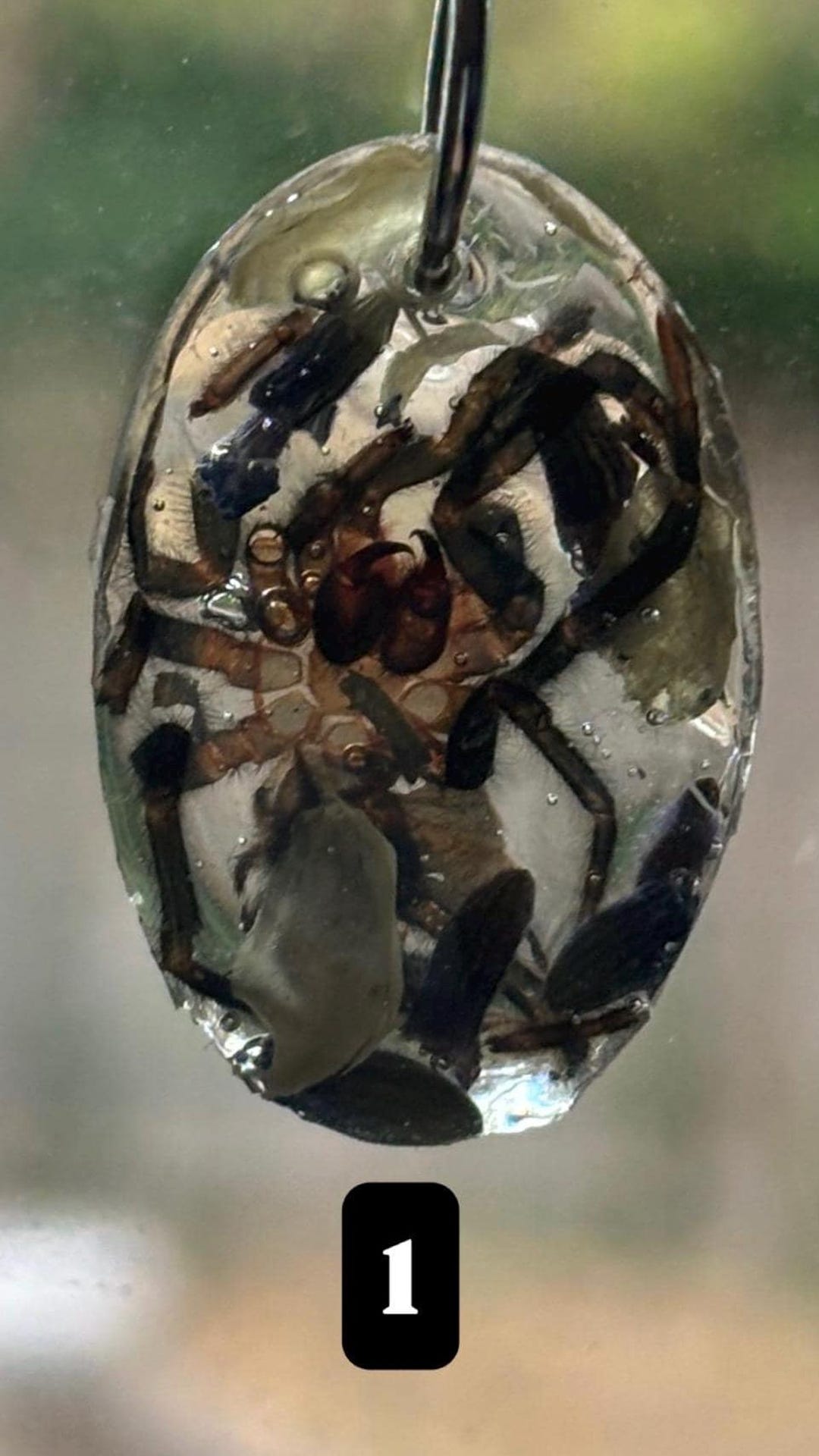 Tarantula Molt/exoskeleten Pendant Necklace Made With Resin and Dried ...