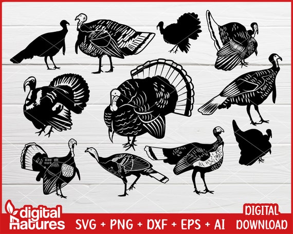 Bundle Turkey Clipart Turkey Svg Turkey Hunter Svg PNG - Etsy