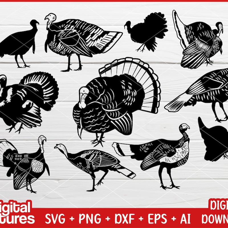 Turkey Svg - Etsy