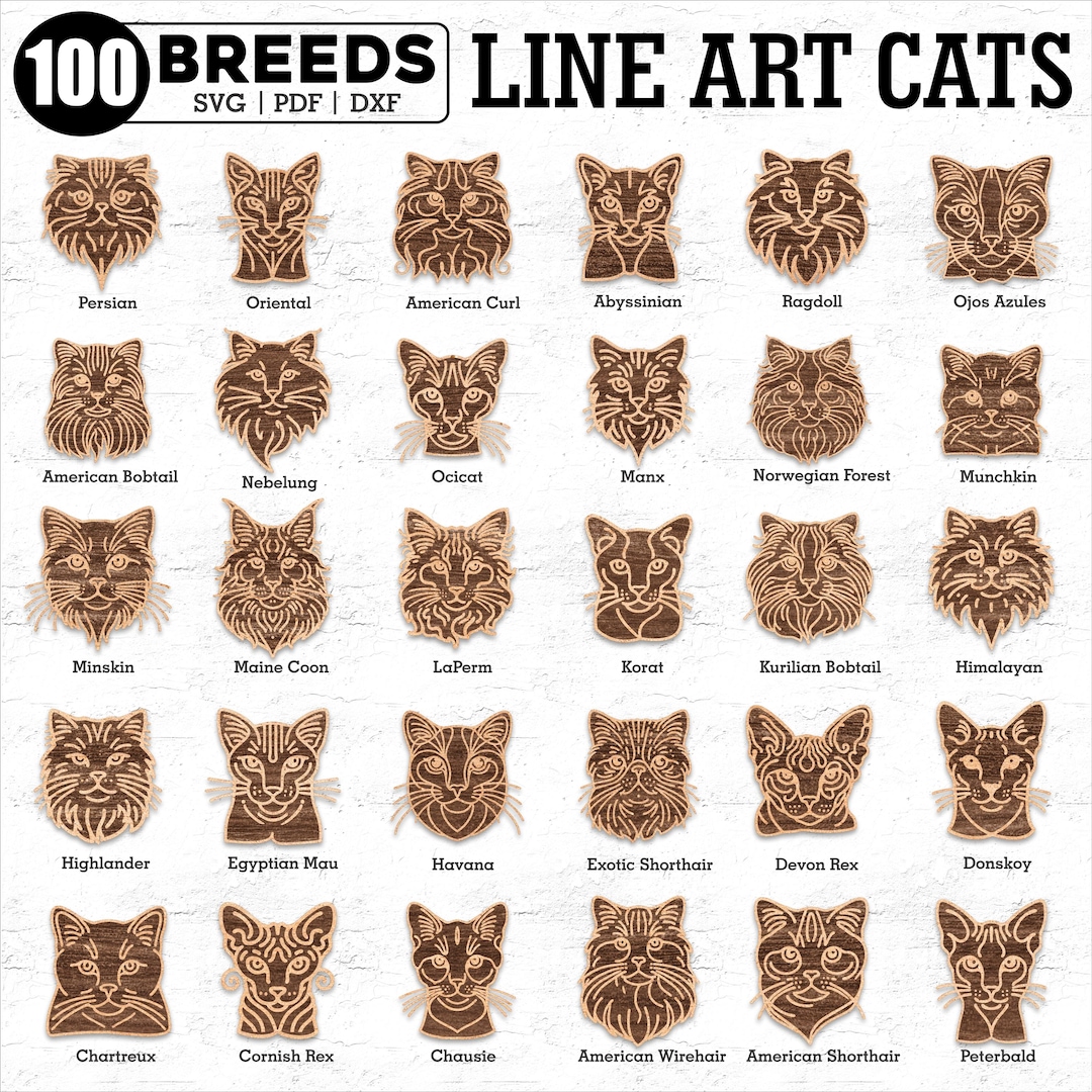 Line Art 100 Breeds Cat Bundle Svg Pdf Dxf Png - Cat Ornaments, Cat ...