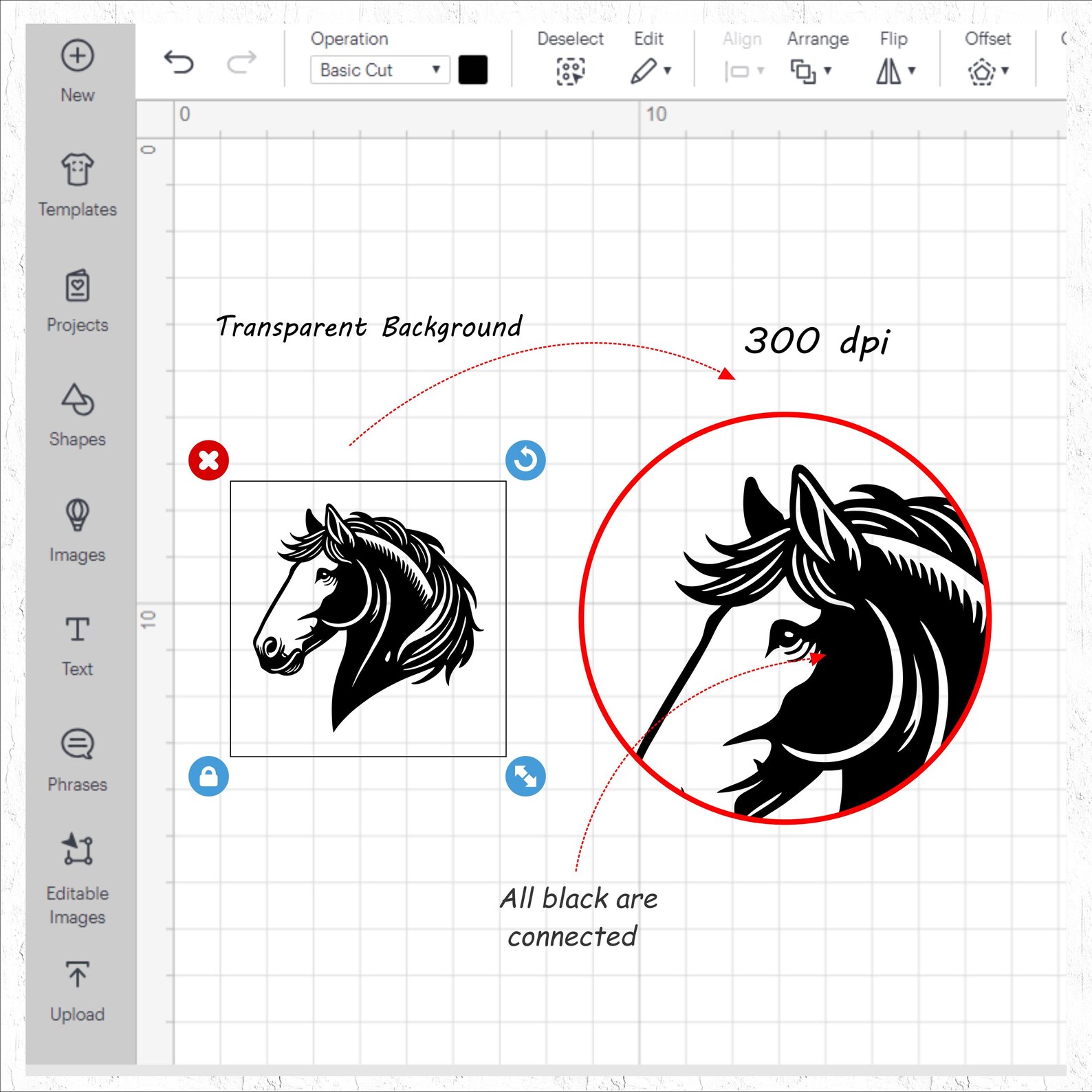 15 Rassen Anfertigen Pferde-Svg Dxf Pdf - Pferd Multilayer, Pferd Laser ...